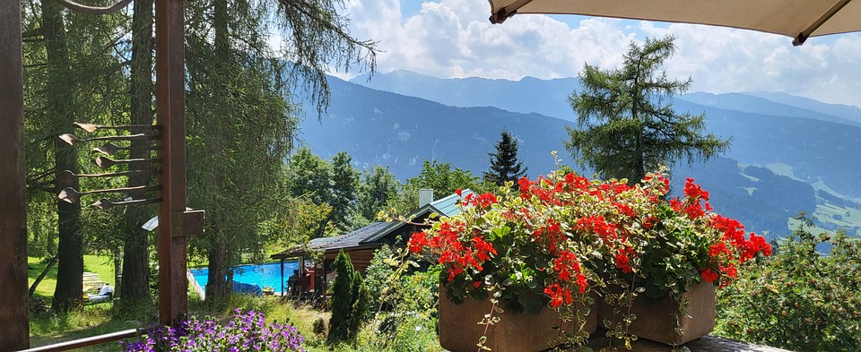 Nature Flower Tyrol - Free photo on Pixabay - Pixabay