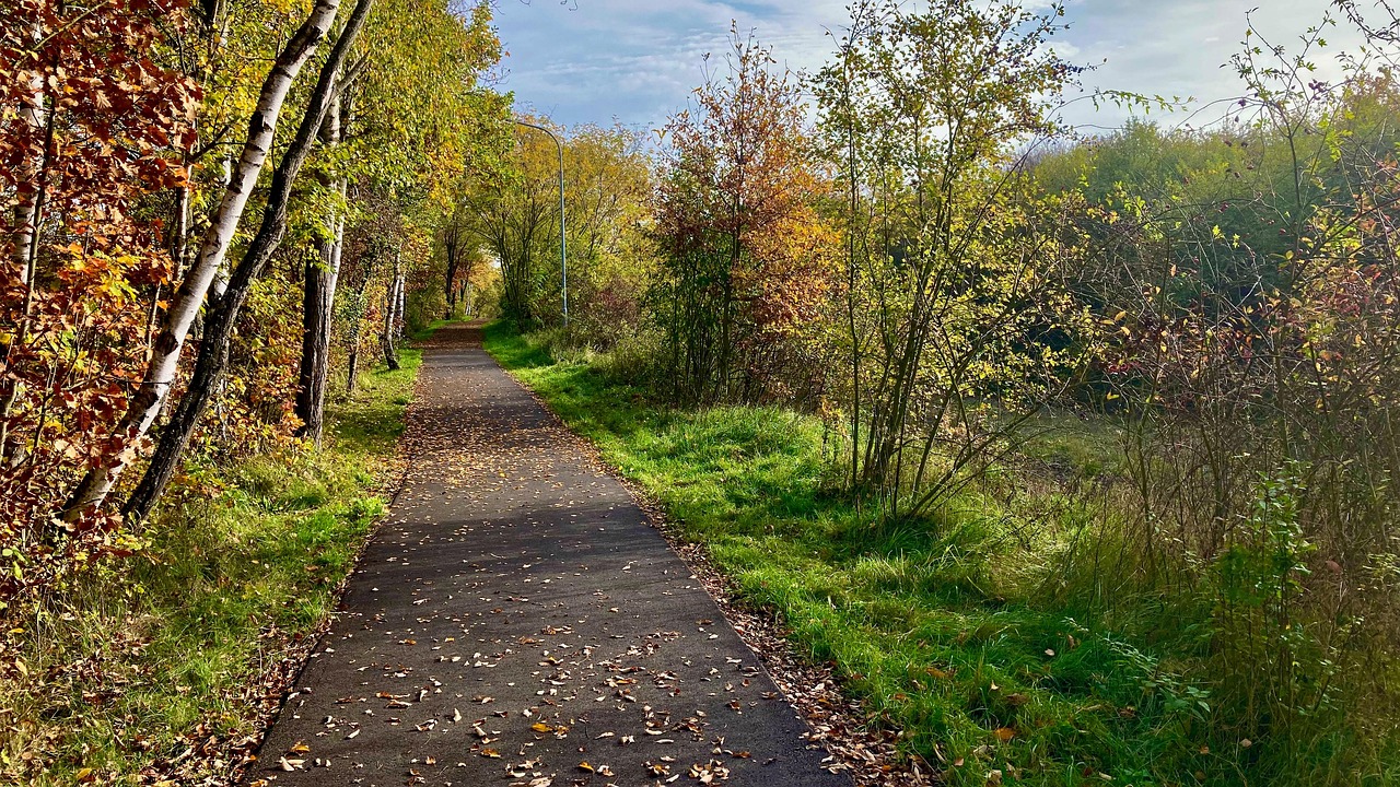 Way Nature Autumn - Free photo on Pixabay - Pixabay