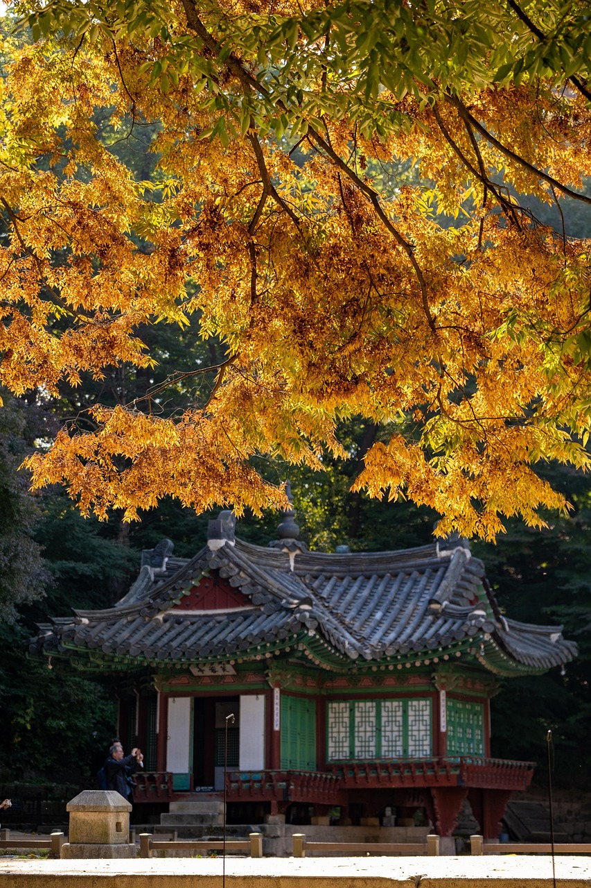 Autumn Palace Full Width Republic - Free photo on Pixabay