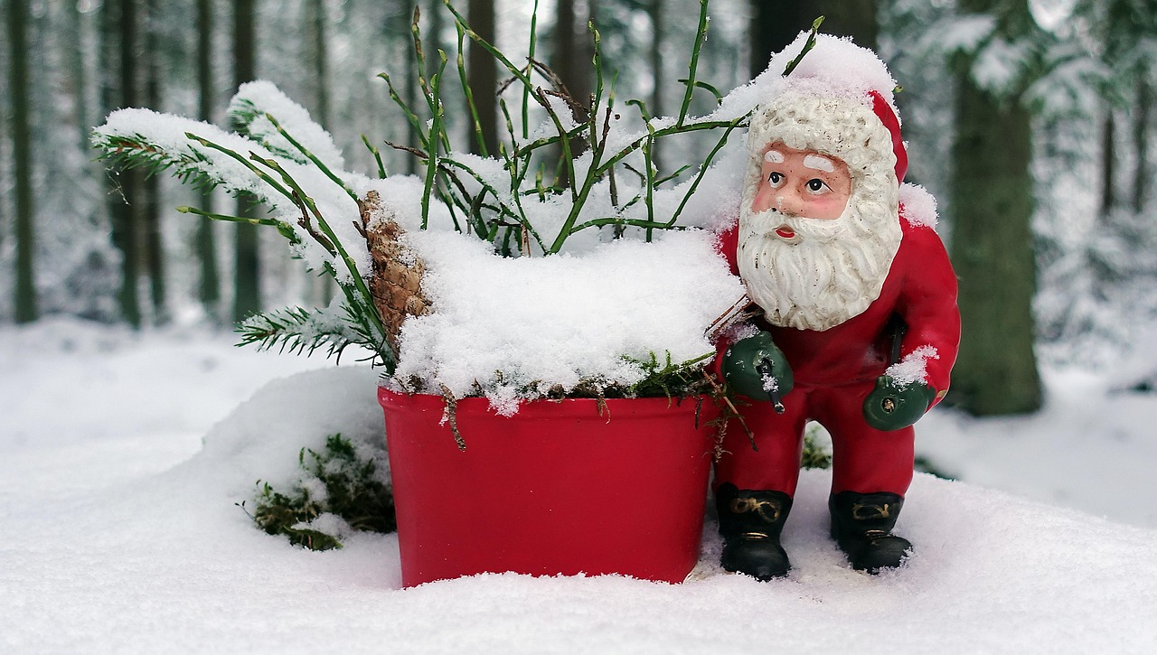 Sinterklas Salju Hari Natal Musim - Foto gratis di Pixabay - Pixabay