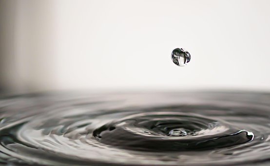 Water, Drops, Loop. Free Stock Video - Pixabay