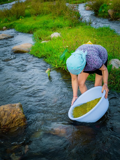 Woman Riverside Rice - Free photo on Pixabay - Pixabay