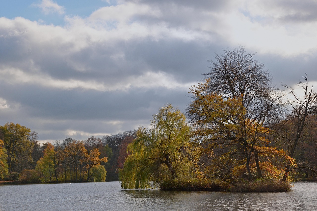 Lake Park Island - Free photo on Pixabay - Pixabay