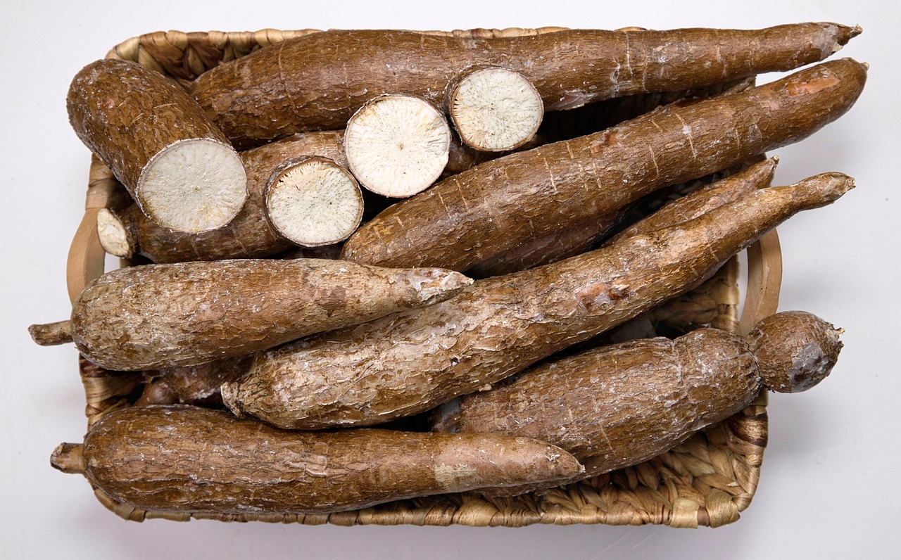 Yucca Yuca Cassava Free Photo On Pixabay Pixabay Yucca Yuca Cassava Free Photo On Pixabay Pixabay