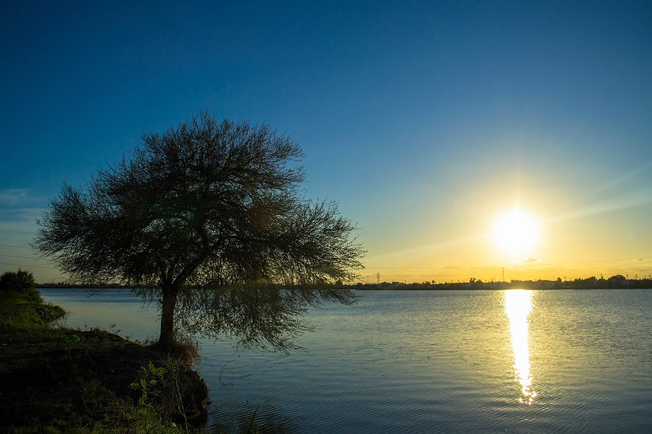 Sunrise Light Water - Free photo on Pixabay - Pixabay