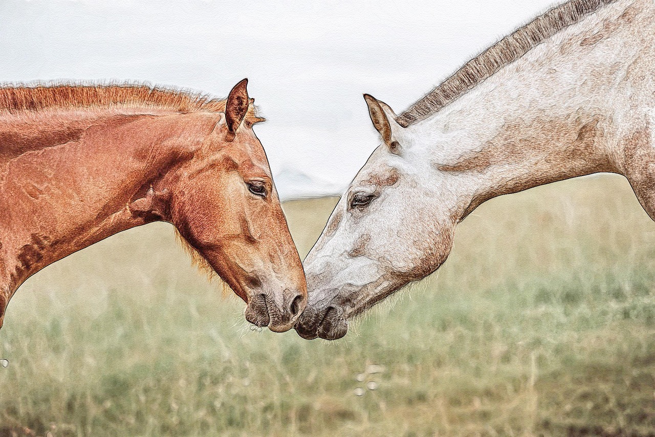 Download Horses, Equine, Animals. Royalty-Free Stock Illustration Image ...