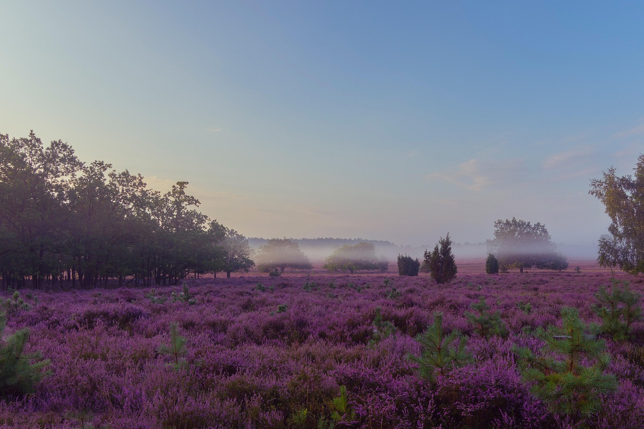 Pagan Landscape Sunrise - Free photo on Pixabay