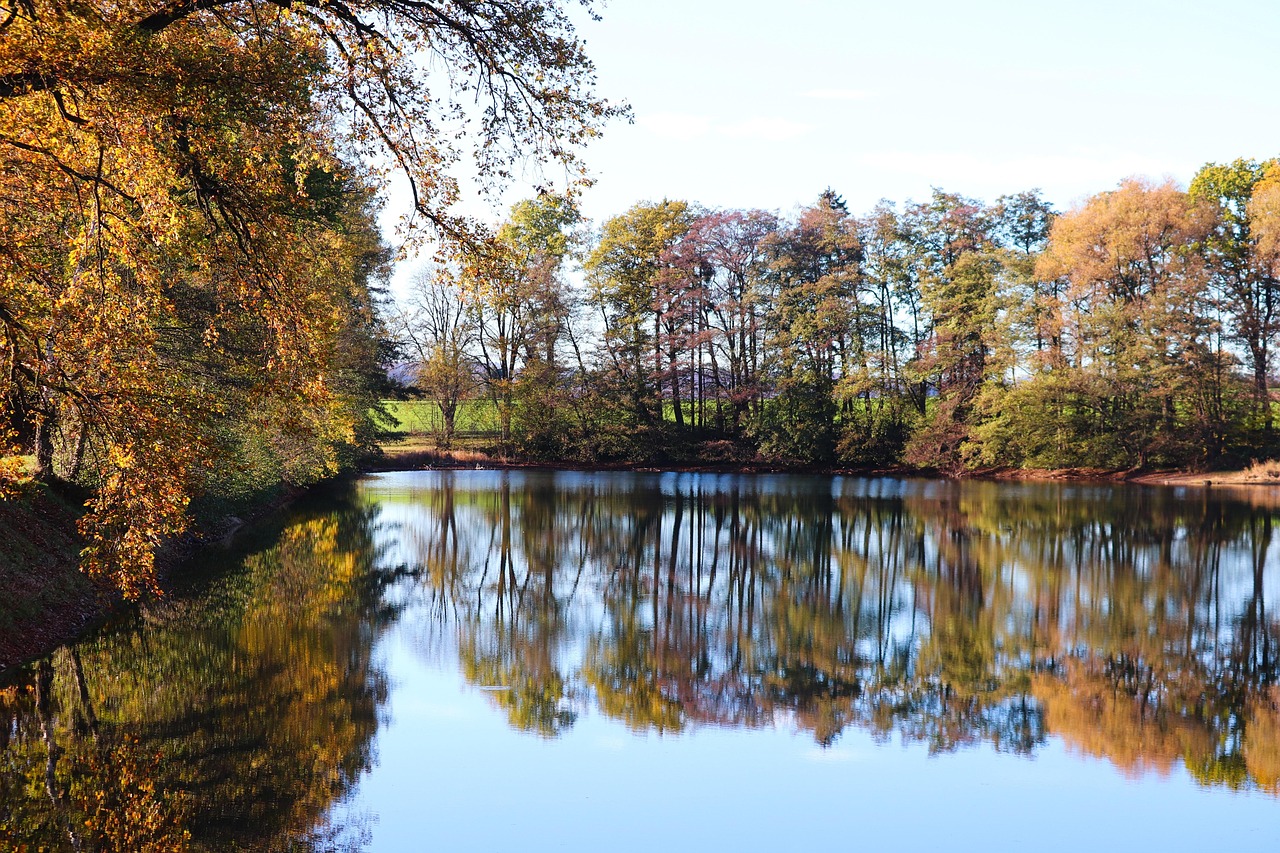 Trees Lake Lakeside Autumn - Free photo on Pixabay