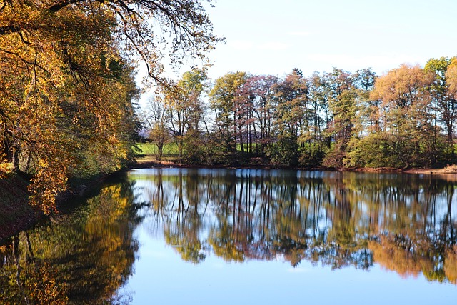 Des Arbres Lac Bord Du Paysage - Photo gratuite sur Pixabay