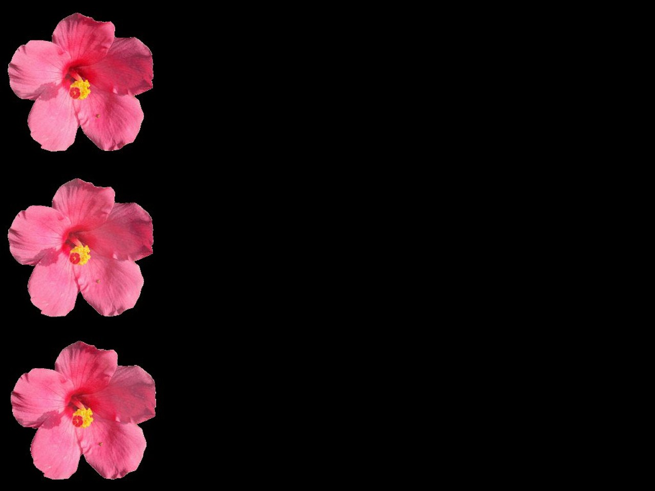 Baggrunde Farve Design - Gratis foto på Pixabay - Pixabay
