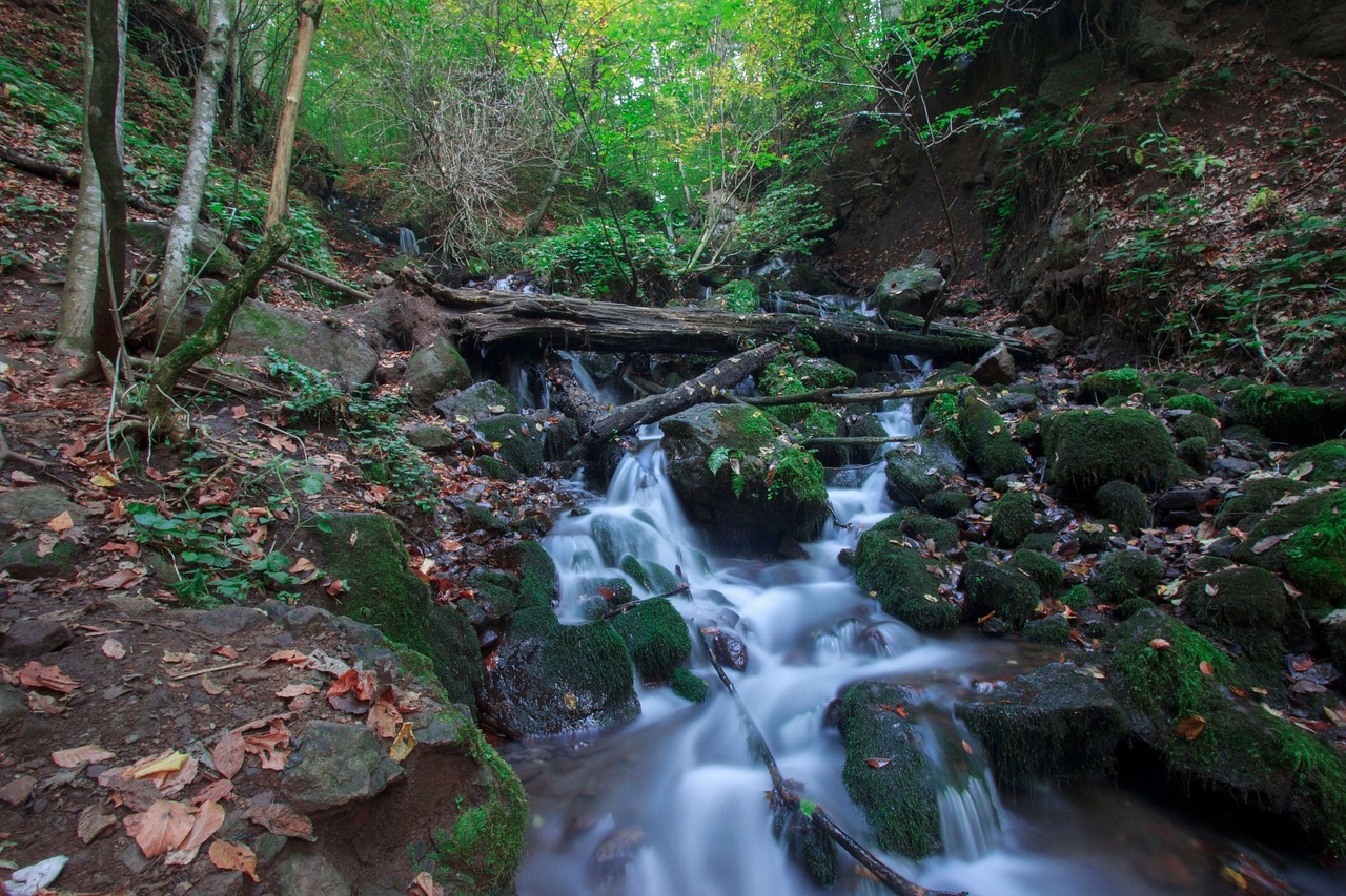 Waterfall Long Exposure Leaf - Free photo on Pixabay - Pixabay