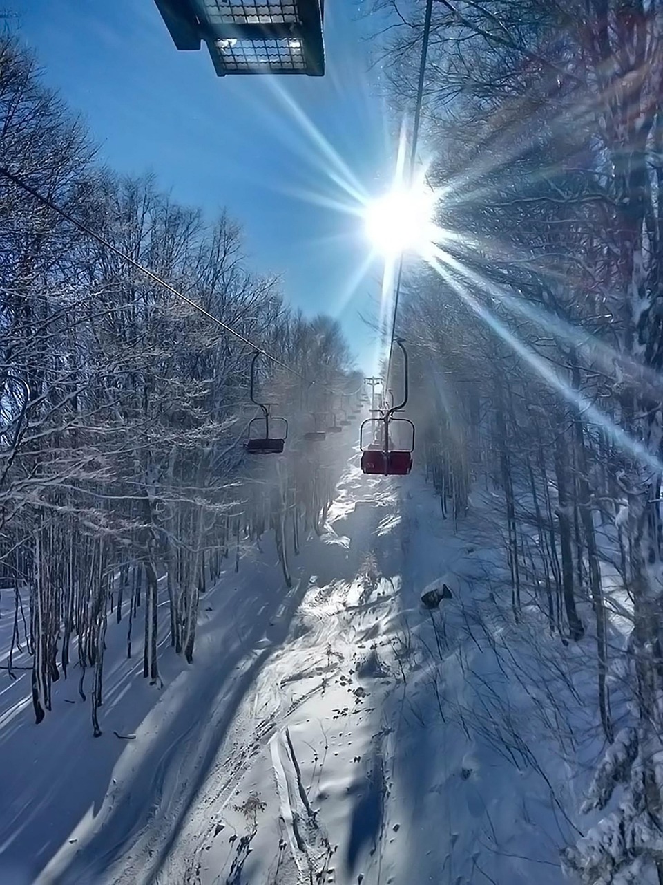 Ski Lift Winter Snow - Free photo on Pixabay - Pixabay