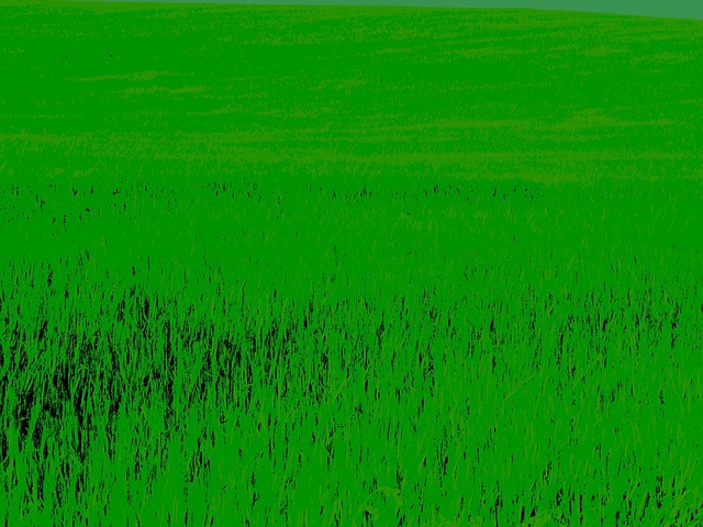 Grün Wiese - Kostenloses Foto auf Pixabay - Pixabay