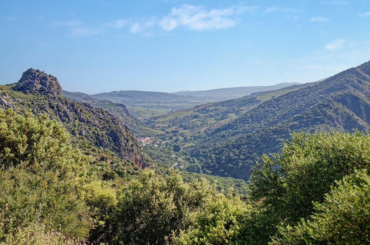 600+ Free Malaga & Spain Images - Pixabay