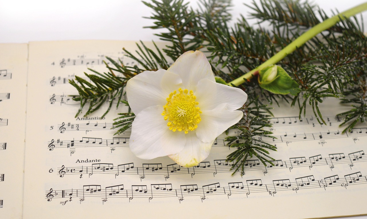 20,000+ Free Christmas Music & Christmas Images - Pixabay