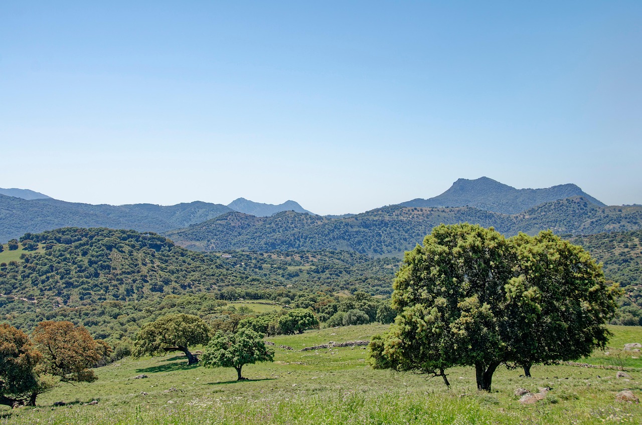 600+ Free Malaga & Spain Images - Pixabay