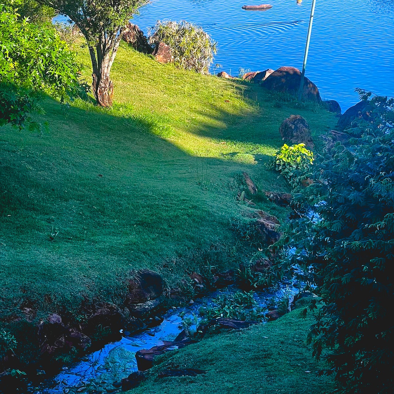 Lago Riacho - Foto gratuita no Pixabay - Pixabay