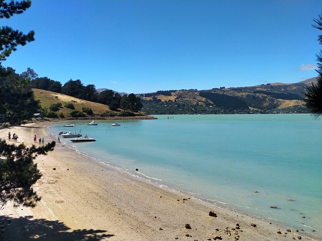 New Zealand Offshore Island - Free photo on Pixabay - Pixabay