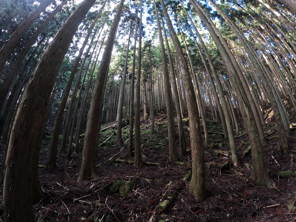 Japan Mountain Landscape - Free photo on Pixabay