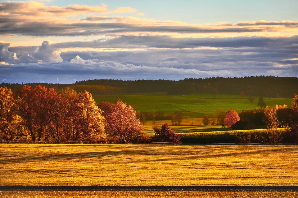 Landscape Nature Fall - Free photo on Pixabay