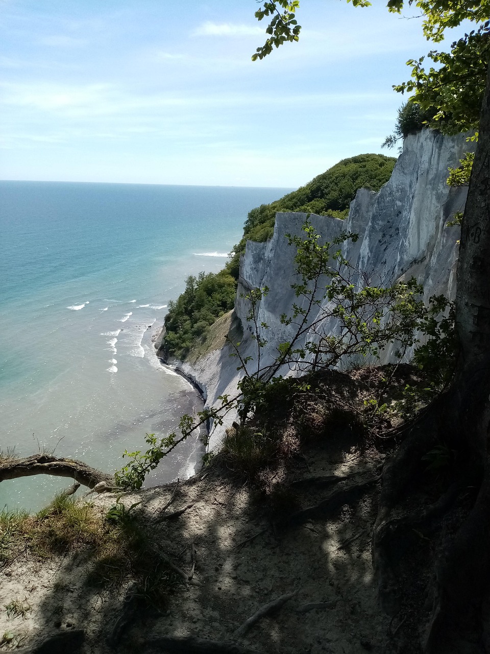 Møns Klint Denmark Cliff - Free photo on Pixabay - Pixabay