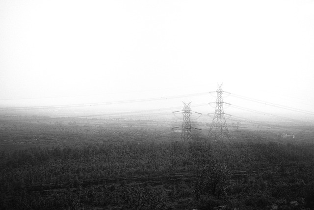 Landscape Bnw Nature - Free photo on Pixabay - Pixabay