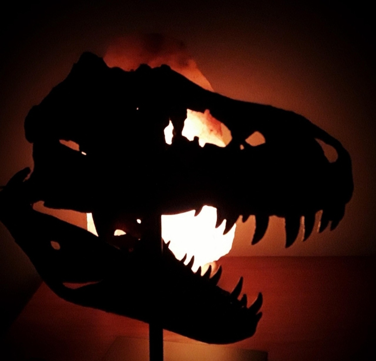 Dinosaur Replica Skull - Free photo on Pixabay - Pixabay