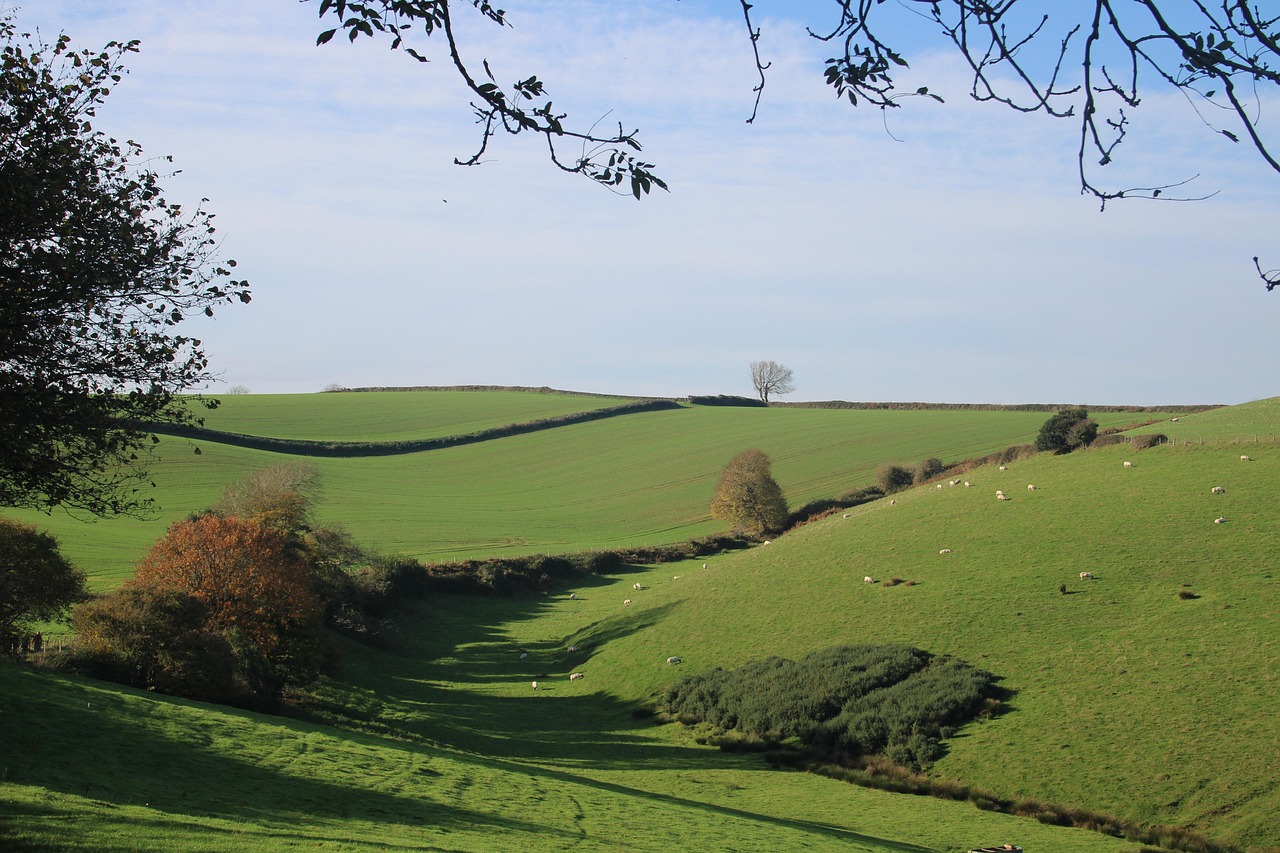 Paysage Champs Verts La Campagne - Photo gratuite sur Pixabay - Pixabay