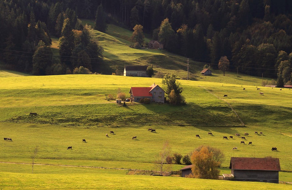 Pasture Meadow Grazing - Free photo on Pixabay