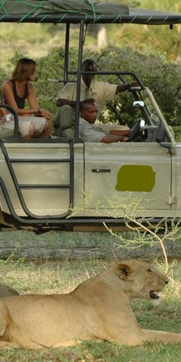Safari À Arusha Kenya - Photo gratuite sur Pixabay