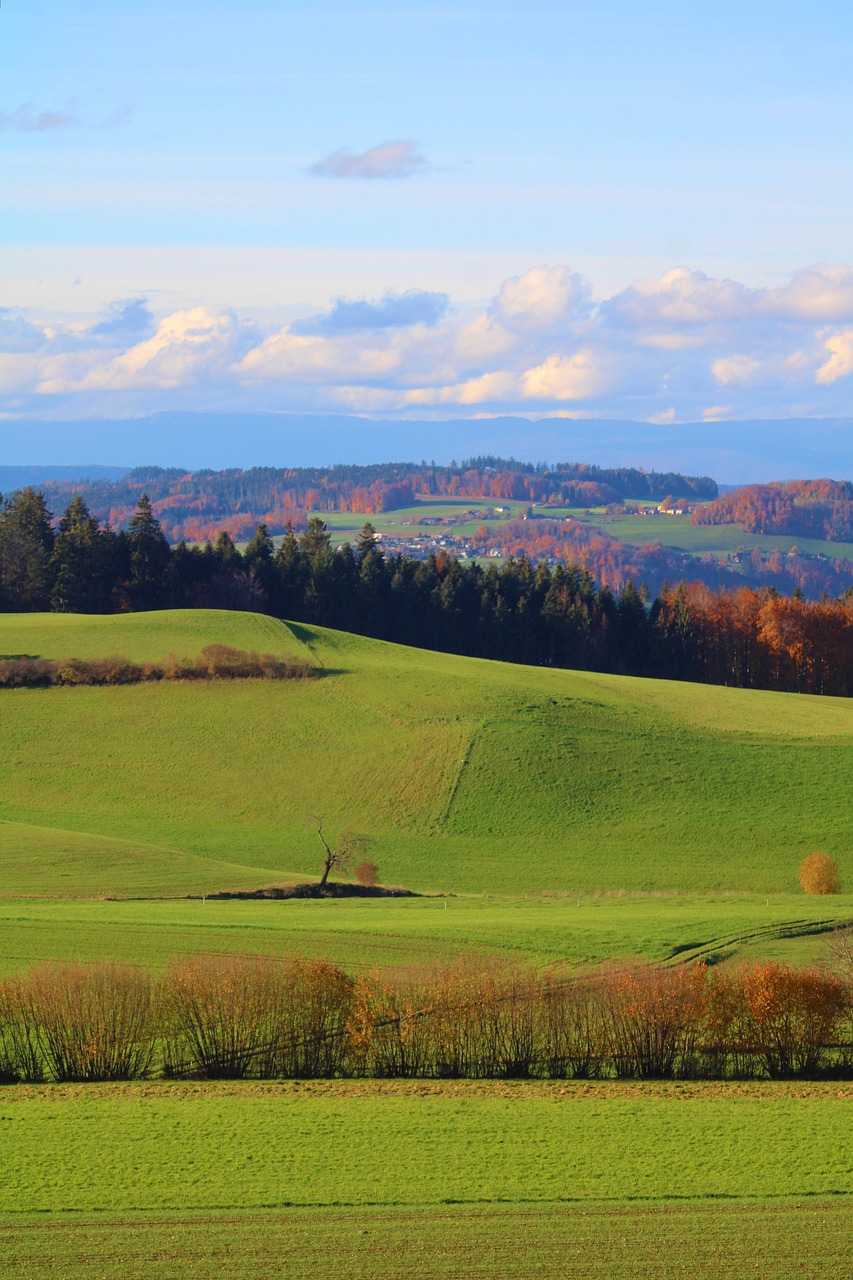 Grassland Fields Trees Autumn - Free photo on Pixabay - Pixabay