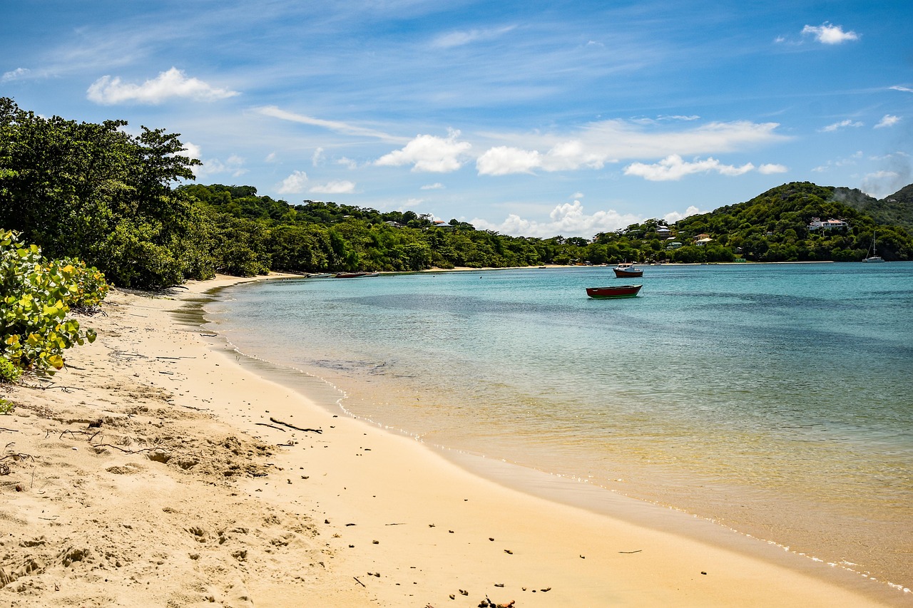 Carriacou Strand Natur - Kostenloses Foto auf Pixabay - Pixabay