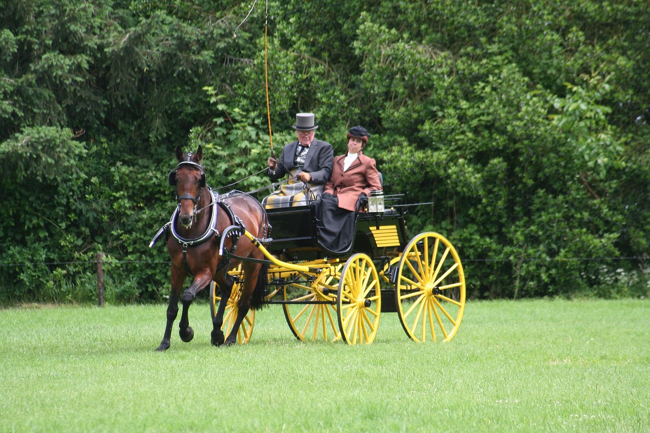 Carriage Horse Driver - Free photo on Pixabay