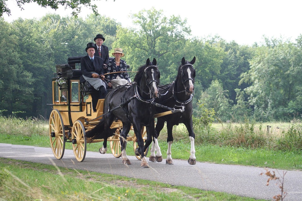 Carro General Caballos De - Foto gratis en Pixabay
