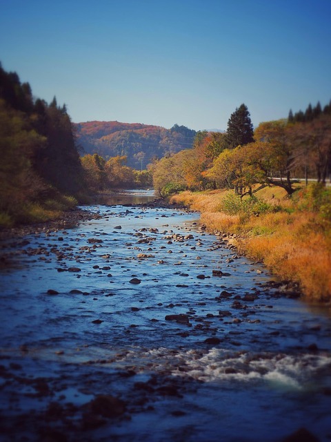 Fleuve Nature L'Automne Feuilles - Photo gratuite sur Pixabay - Pixabay
