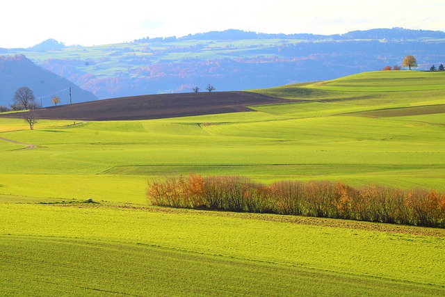 3,000+ Free Temperate Grassland & Grassland Images - Pixabay