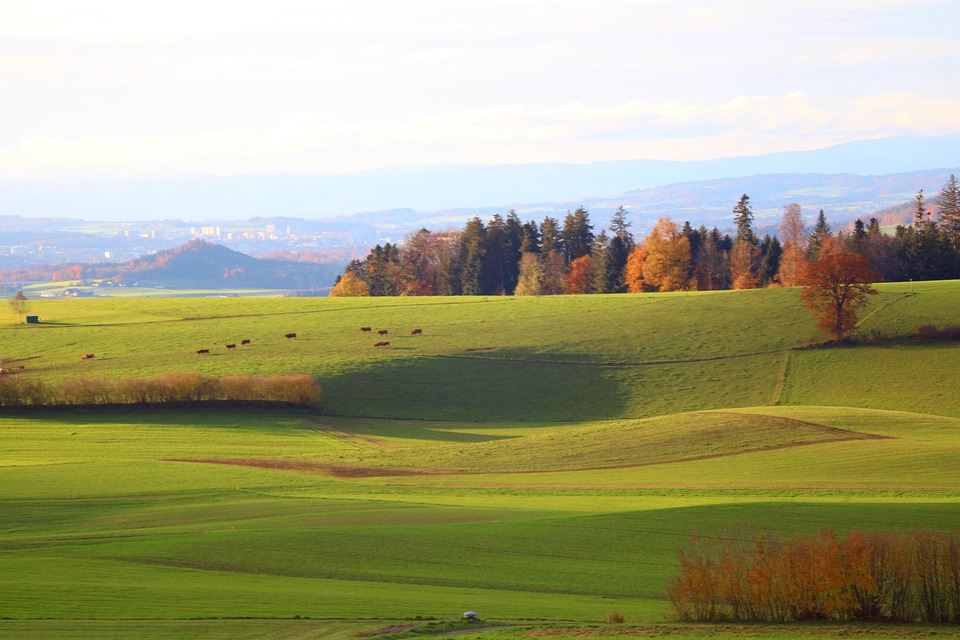 Autumn Landscape Grasslands Fields - Free photo on Pixabay