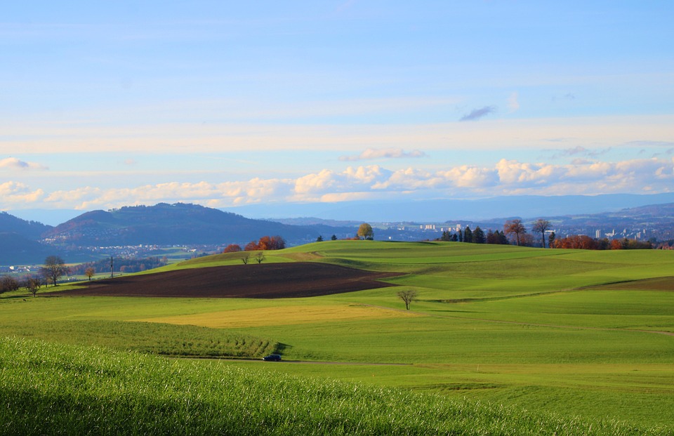 Grassland Fields Rural - Free photo on Pixabay - Pixabay