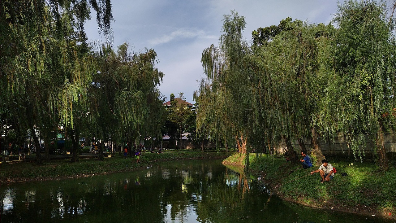 Parque Verde Árbol - Foto gratis en Pixabay - Pixabay