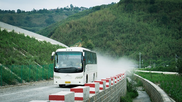 40,000+ Free Transportation Bus & Bus Images - Pixabay