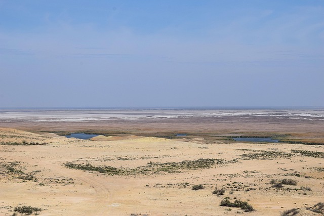 Lago Aral Deserto Sal - Foto gratuita no Pixabay