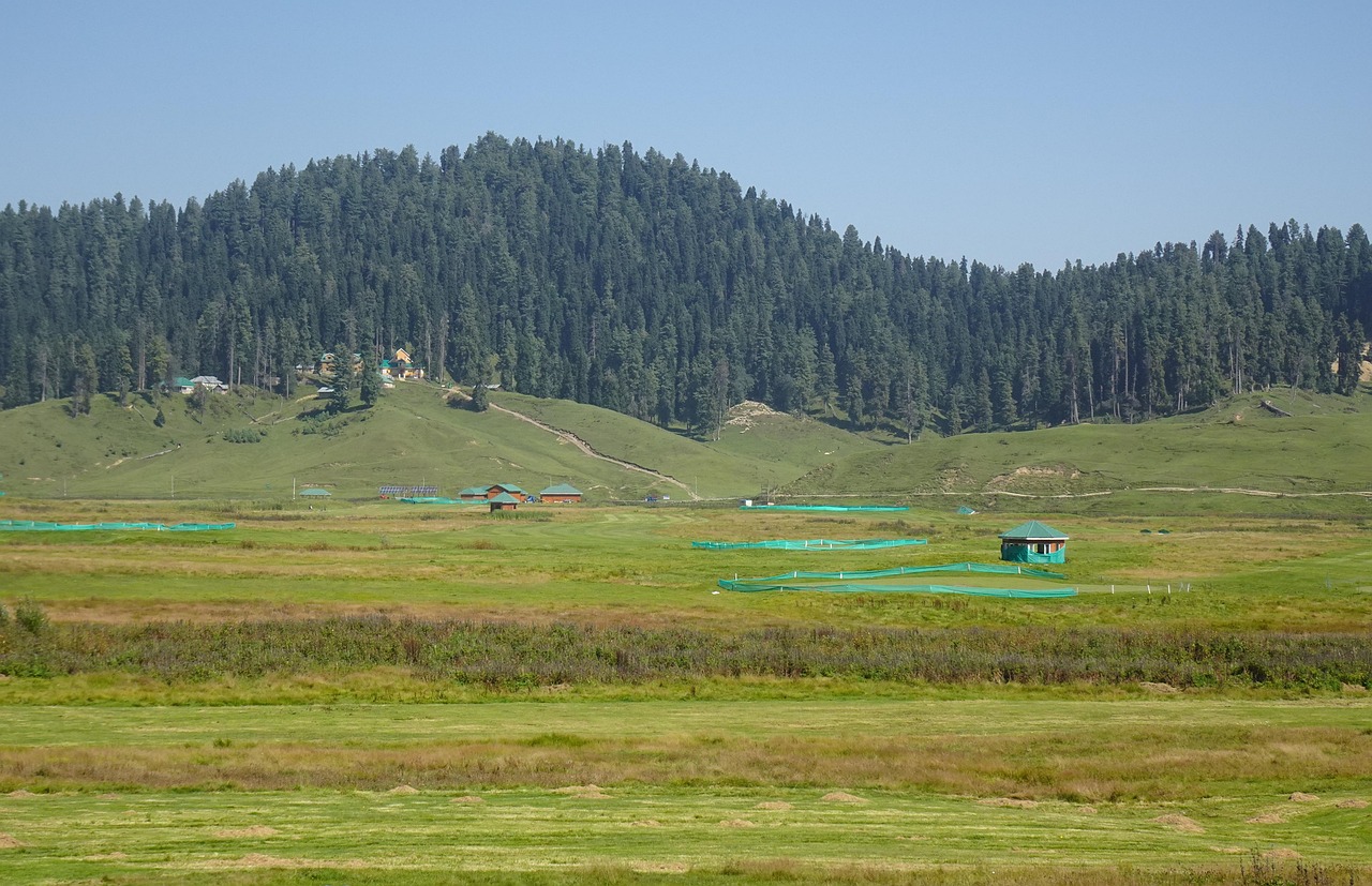 Landscape Gulmarg Kashmir - Free photo on Pixabay