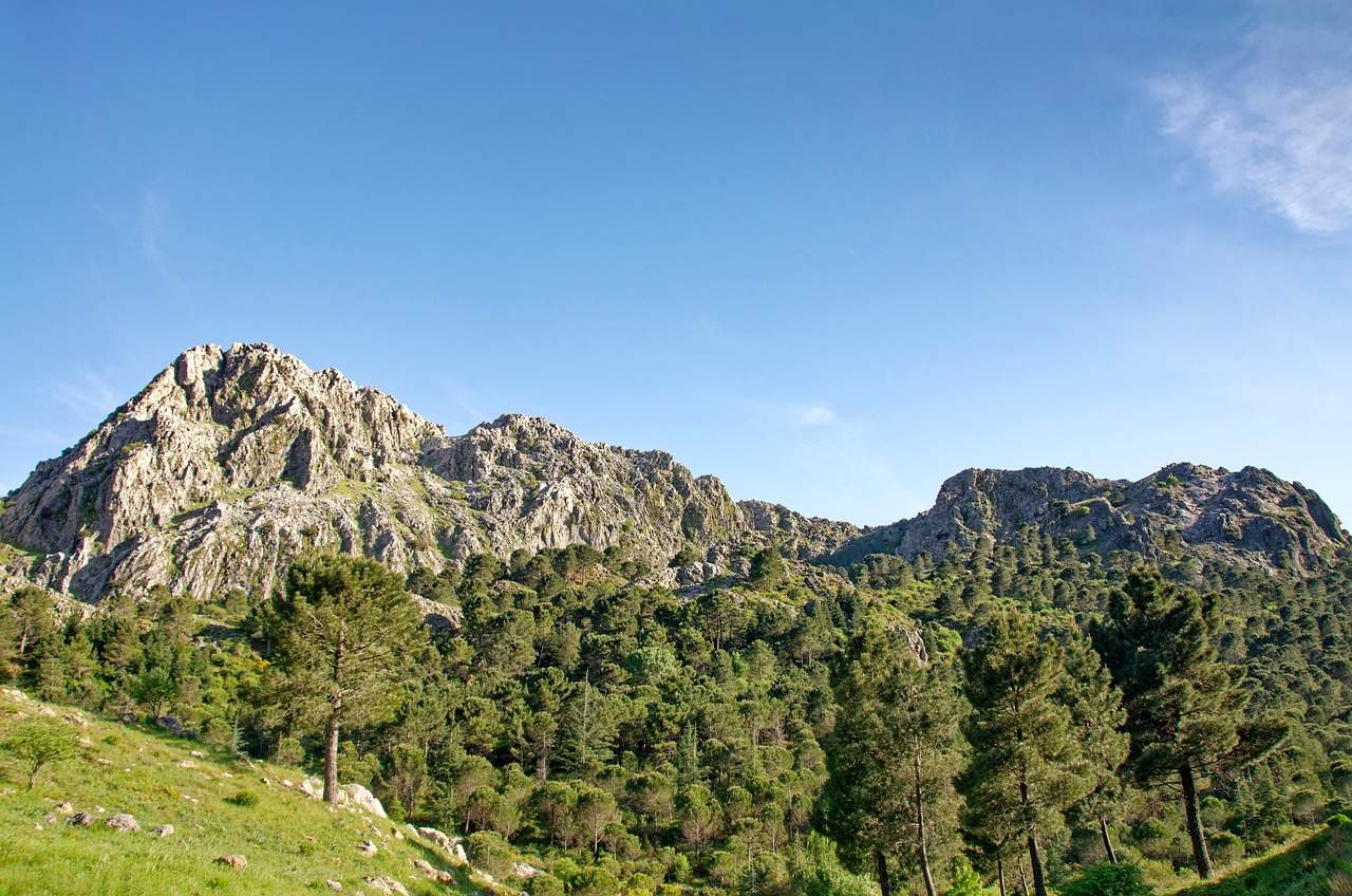 Spain Andalusia Province Of Cadiz - Free photo on Pixabay