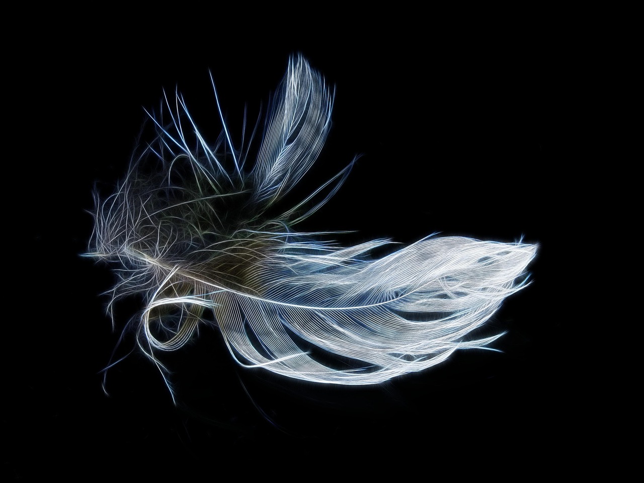 Feather Fractalius Lightweight - Free photo on Pixabay