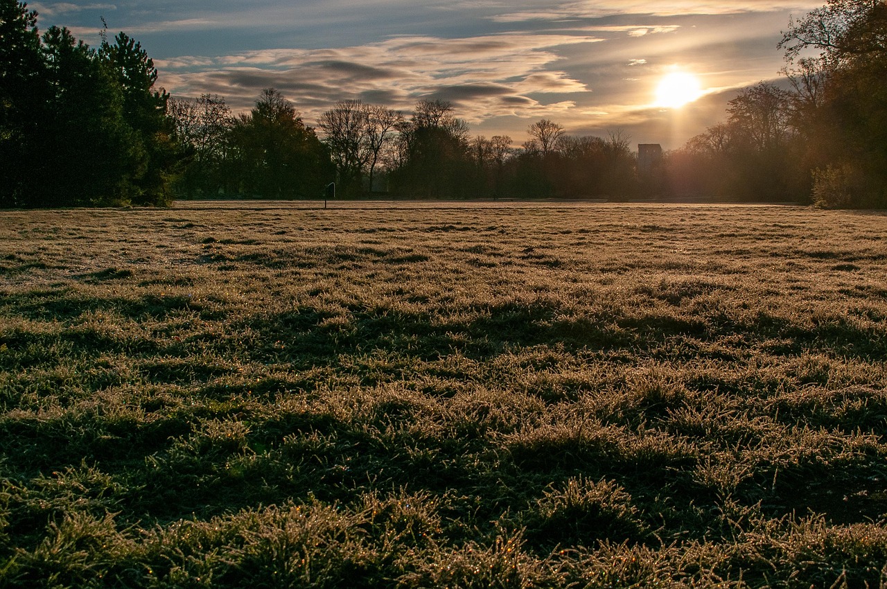 Meadow Sunrise Grass - Free photo on Pixabay - Pixabay