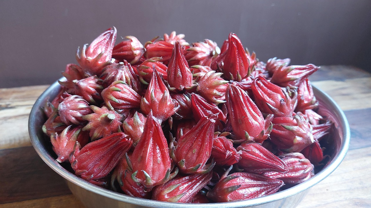 Rossela Flowers Red Sour - Free photo on Pixabay