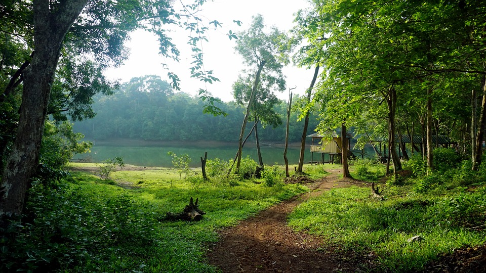 Nature Kottoor Lieux Naturels À - Photo gratuite sur Pixabay - Pixabay