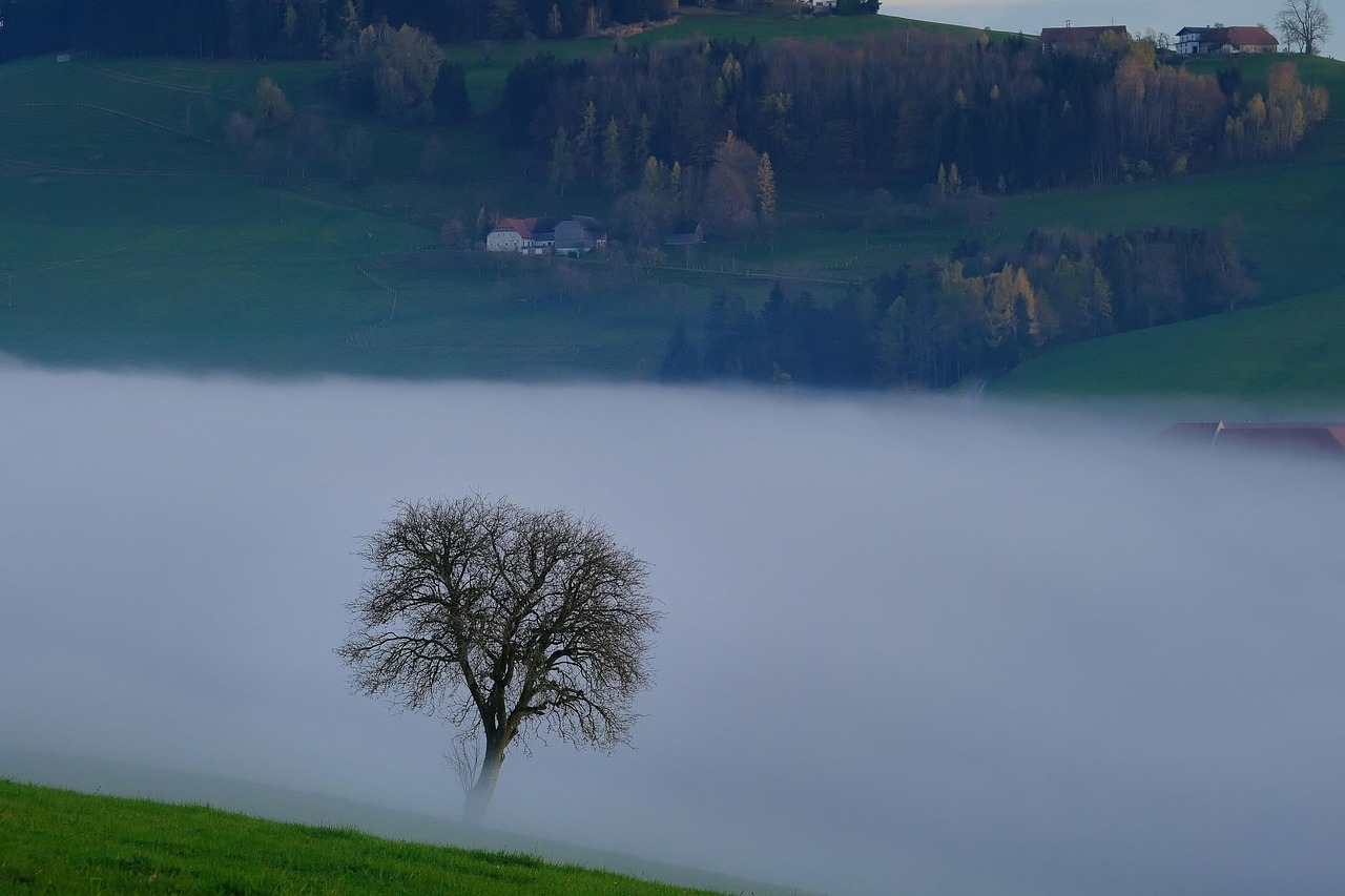 1 400 000+ kostnadsfria bilder med Höstbild Natur och Natur - Pixabay