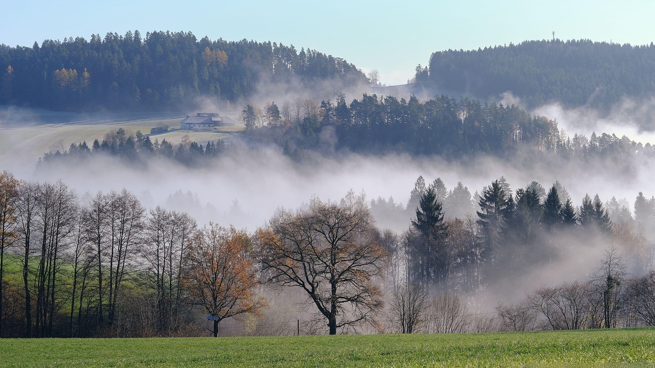 Nature Landscape Fall Autumn - Free photo on Pixabay