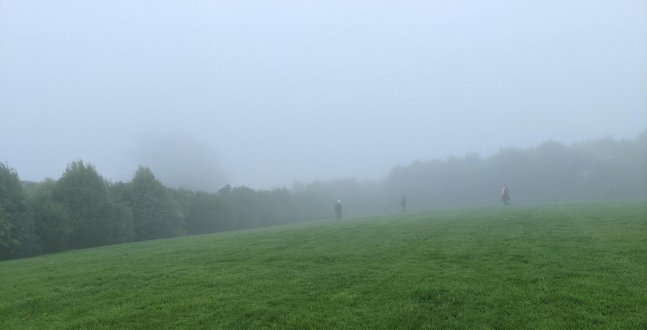 Brume Brouillard Nature En - Photo gratuite sur Pixabay - Pixabay